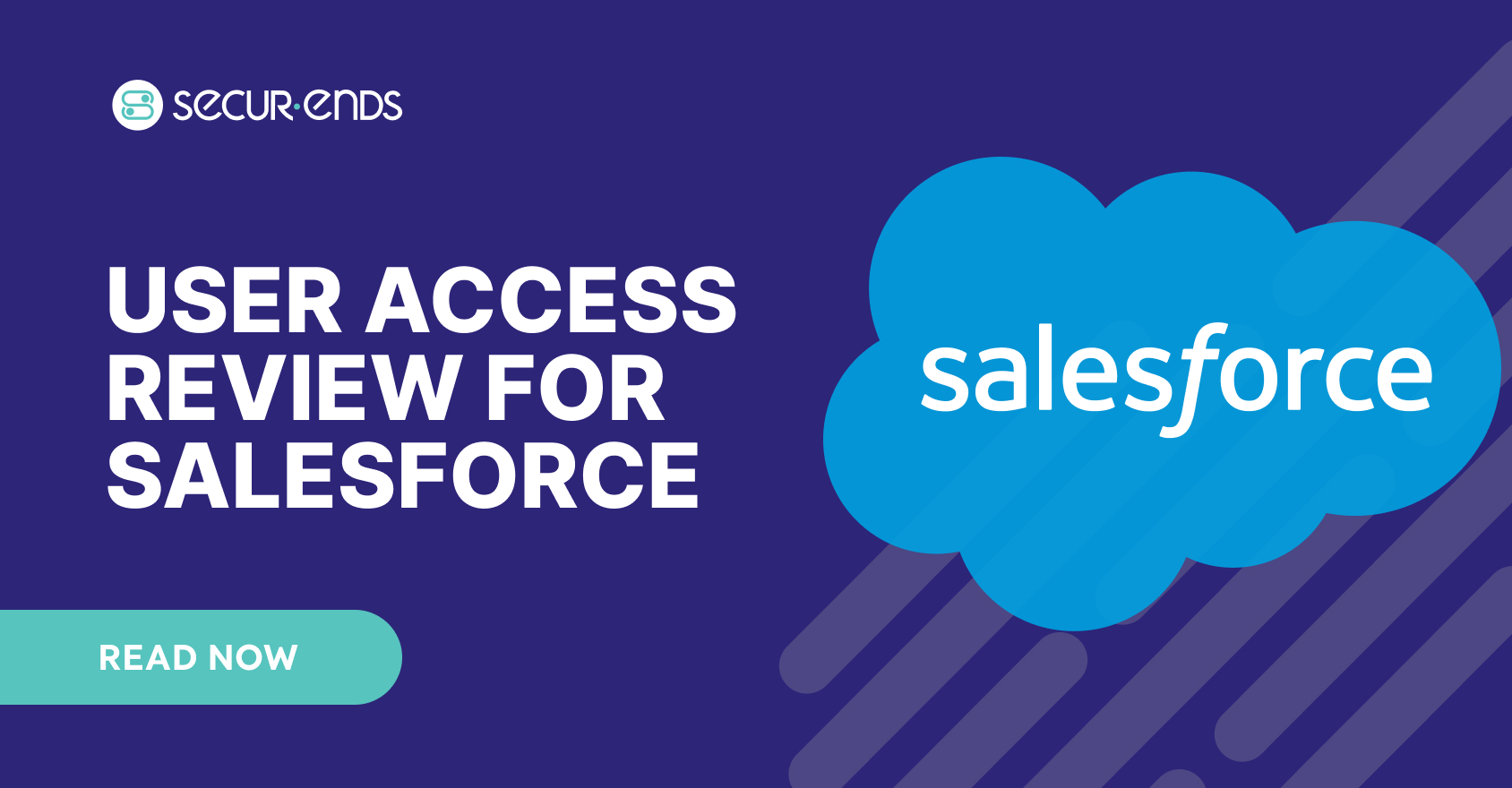 User Access Review For Salesforce Automate With Securends Salesforce Connector