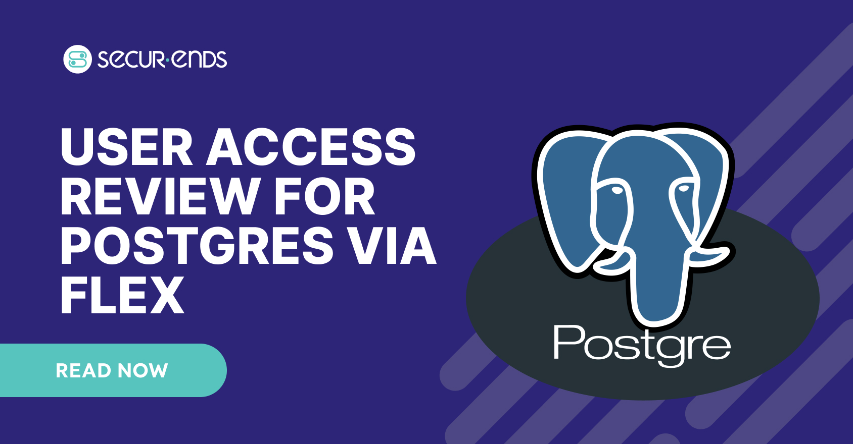 User Access Review for Postgres via Flex | Automate with SecurEnds ...